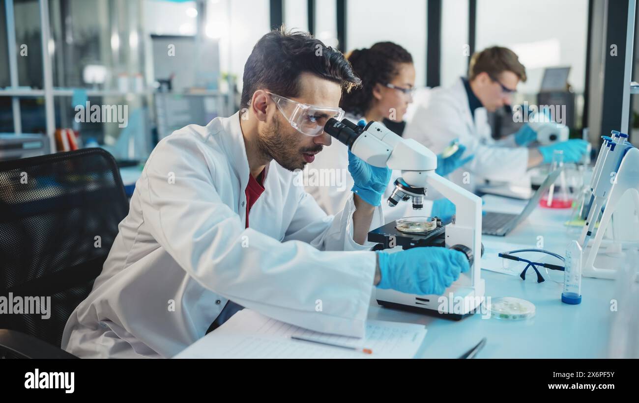 Scientists working together analyze hi-res stock photography and images - Alamy