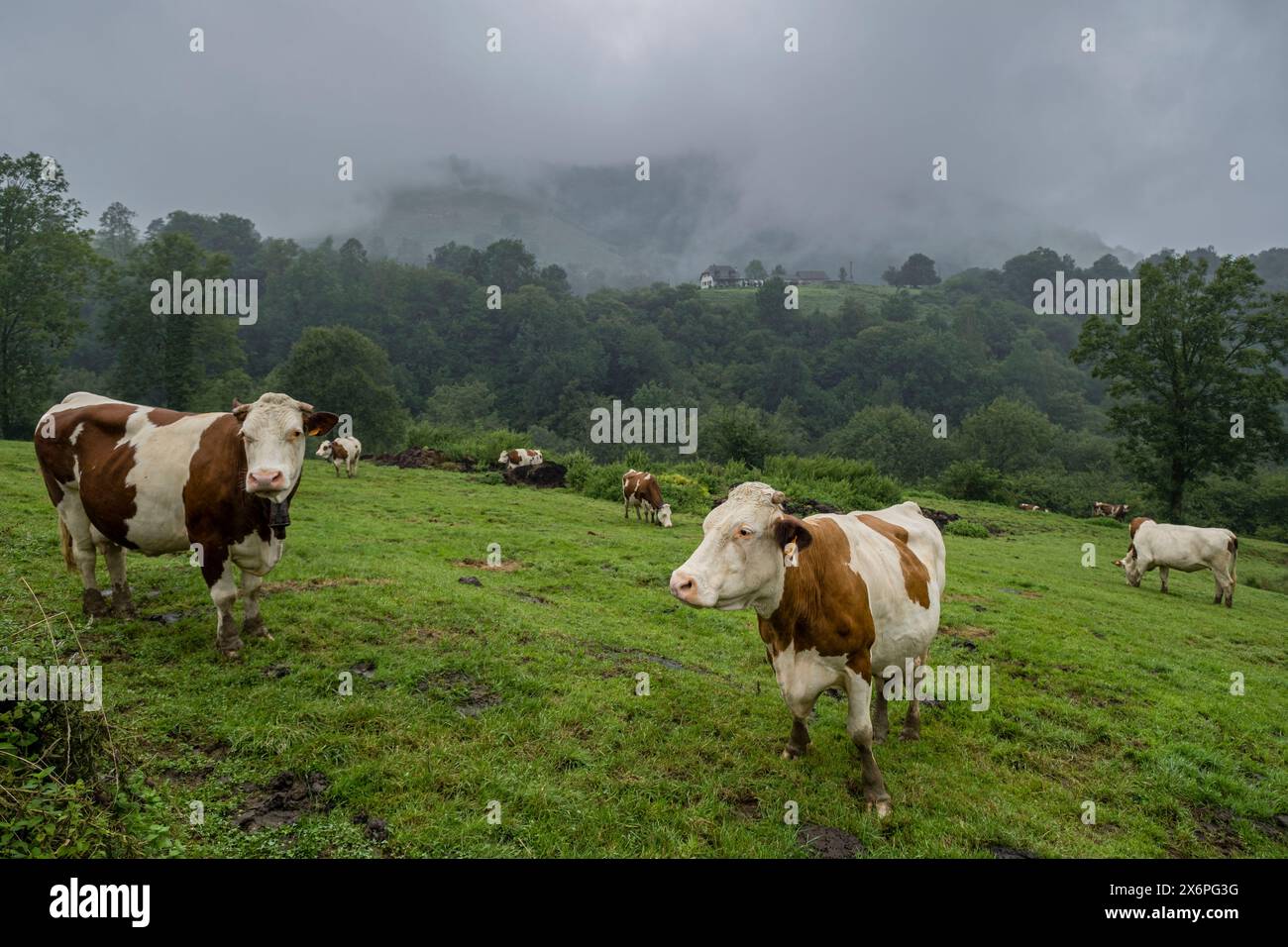 Desarrollo de trabajo hi-res stock photography and images - Alamy