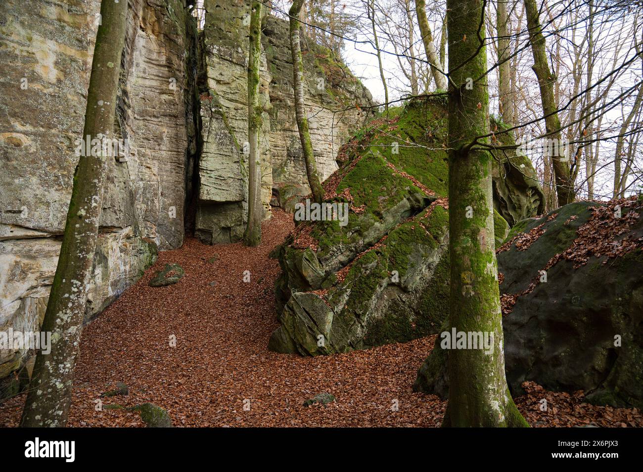 Devil Gorge at the Eifel, Teufelsschlucht with mighty boulders and ...