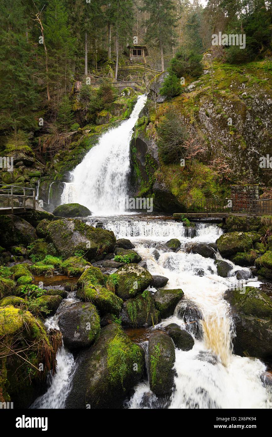 Triberg waterfall in the Black Forest, highest fall in Germany, Gutach ...