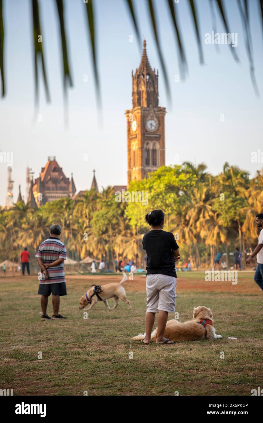 Mumbai blue dog hi-res stock photography and images - Alamy