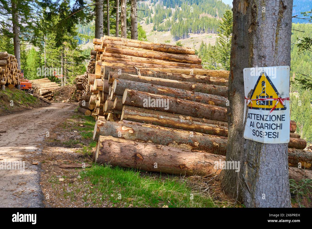 Tyrol, Italy - 11 May 2024: Forestry excavator in the forest with ...