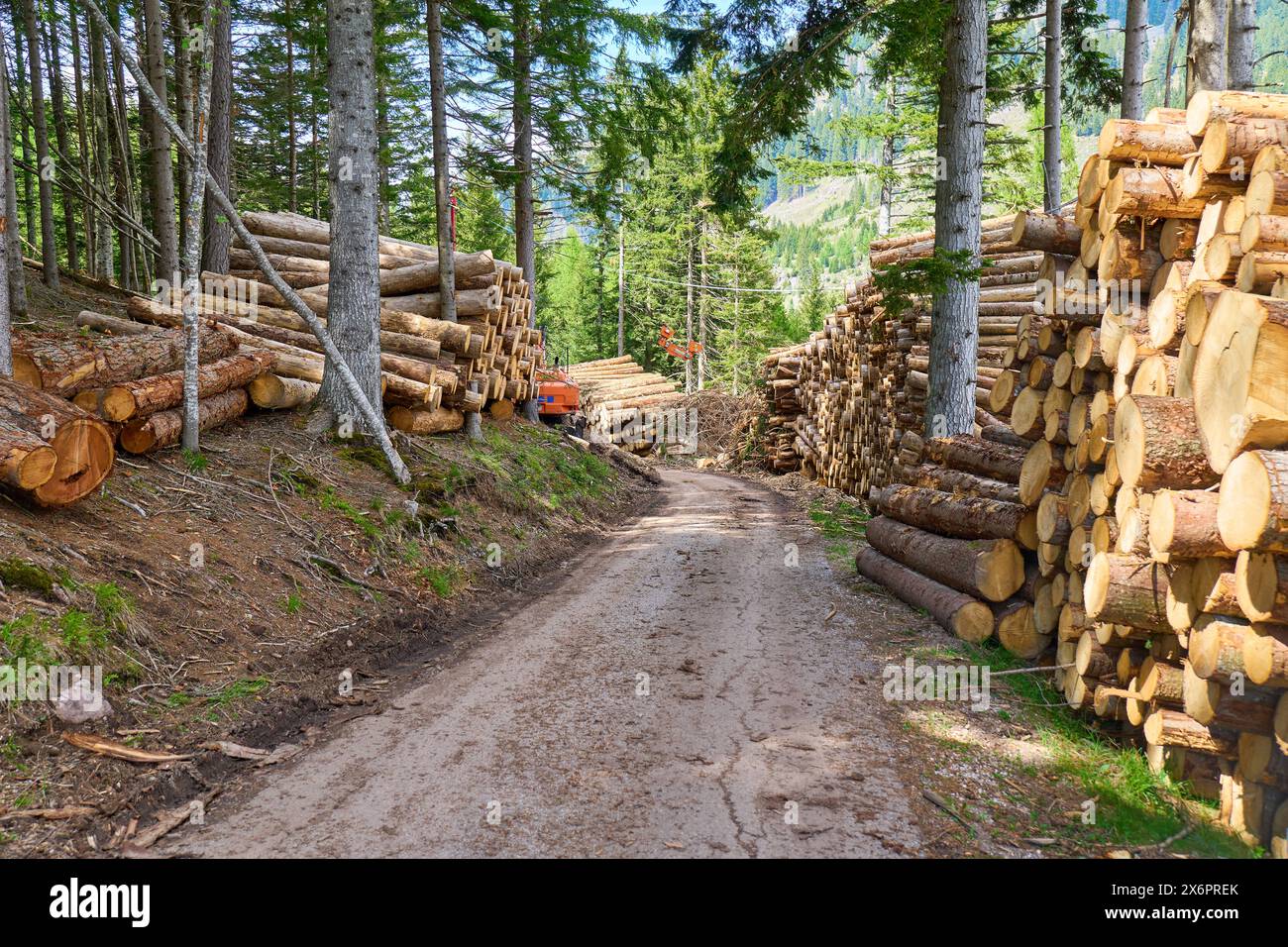 Tyrol, Italy - 11 May 2024: Forestry excavator in the forest with ...