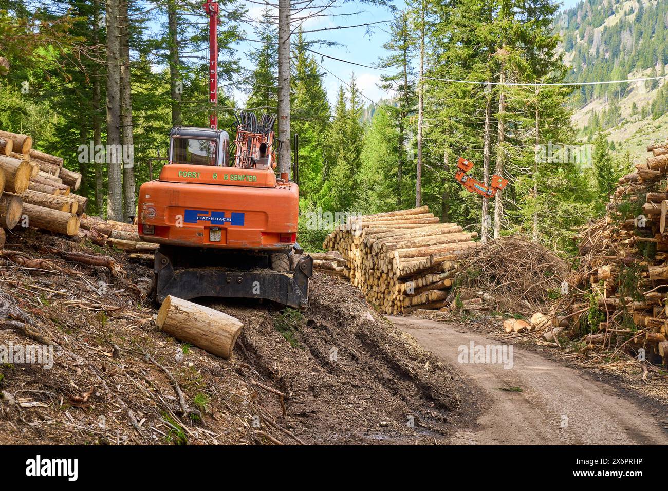 Tyrol, Italy - 11 May 2024: Forestry excavator in the forest with ...
