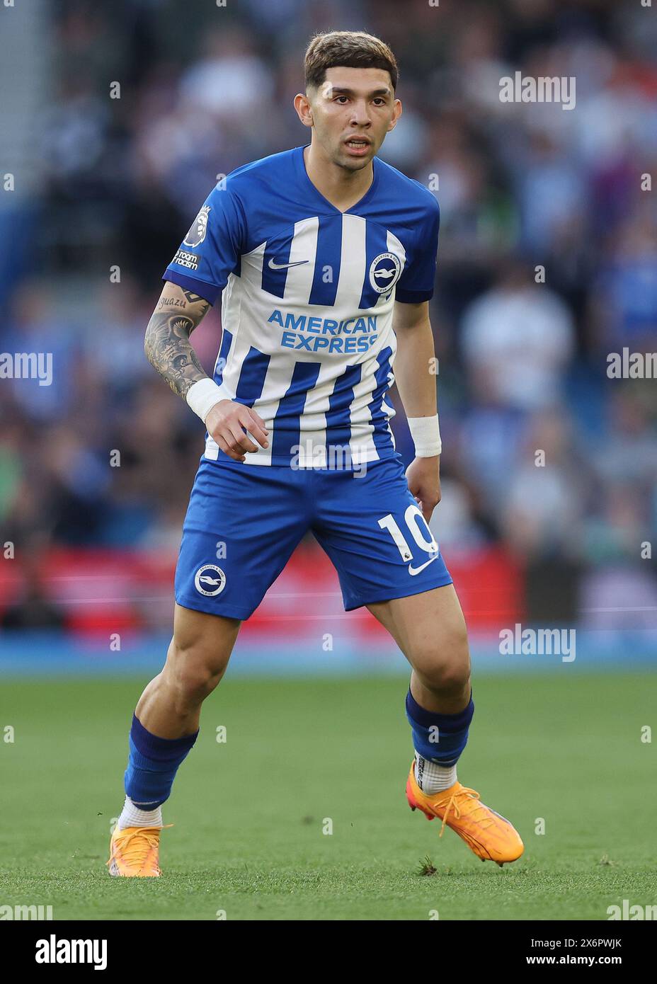 Brighton and Hove, UK. 15th May, 2024. Julio Enciso of Brighton and ...