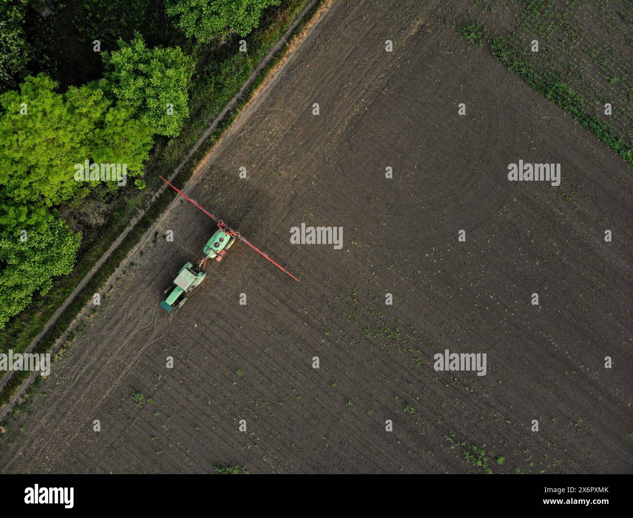 Insecticide spraying hi-res stock photography and images - Alamy