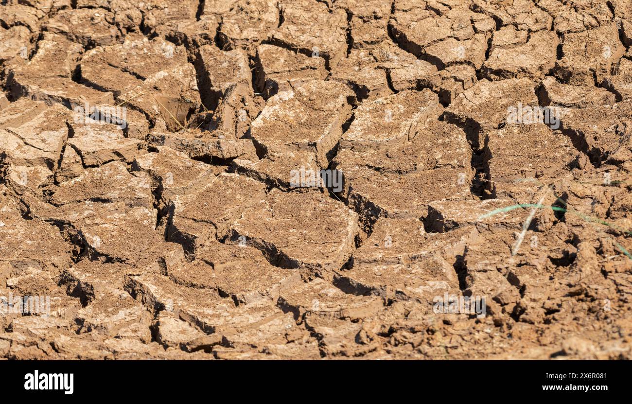 Water scarcity drought land crack hi-res stock photography and images ...