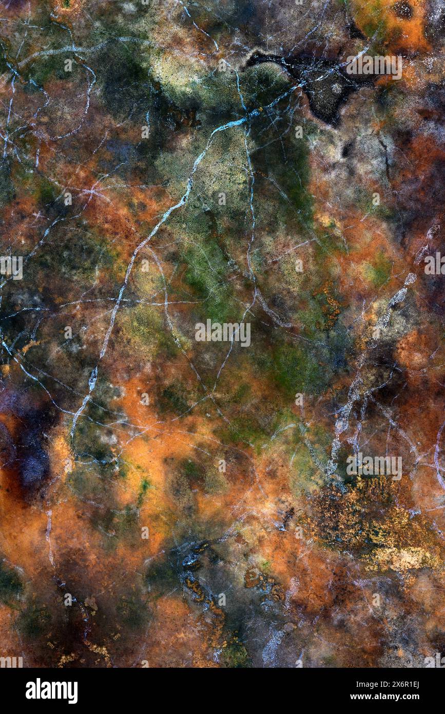 Mould and decay Stock Photo - Alamy