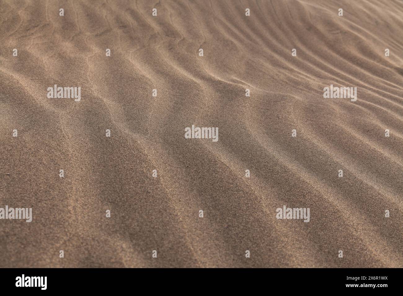 natural sand pattern created by wind blowing differently sized and ...