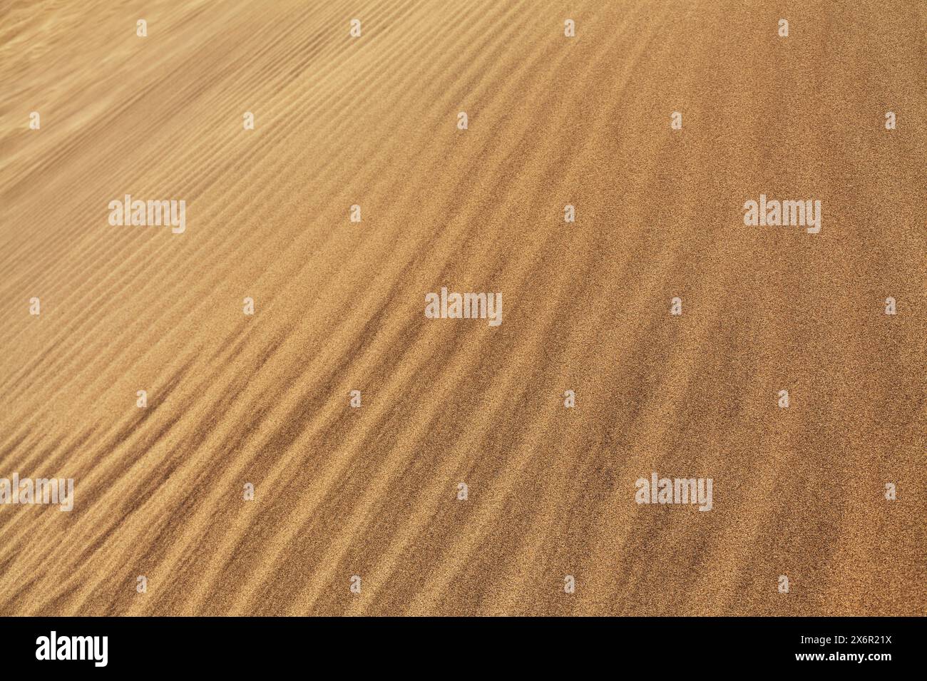 natural sand pattern created by wind blowing differently sized and ...