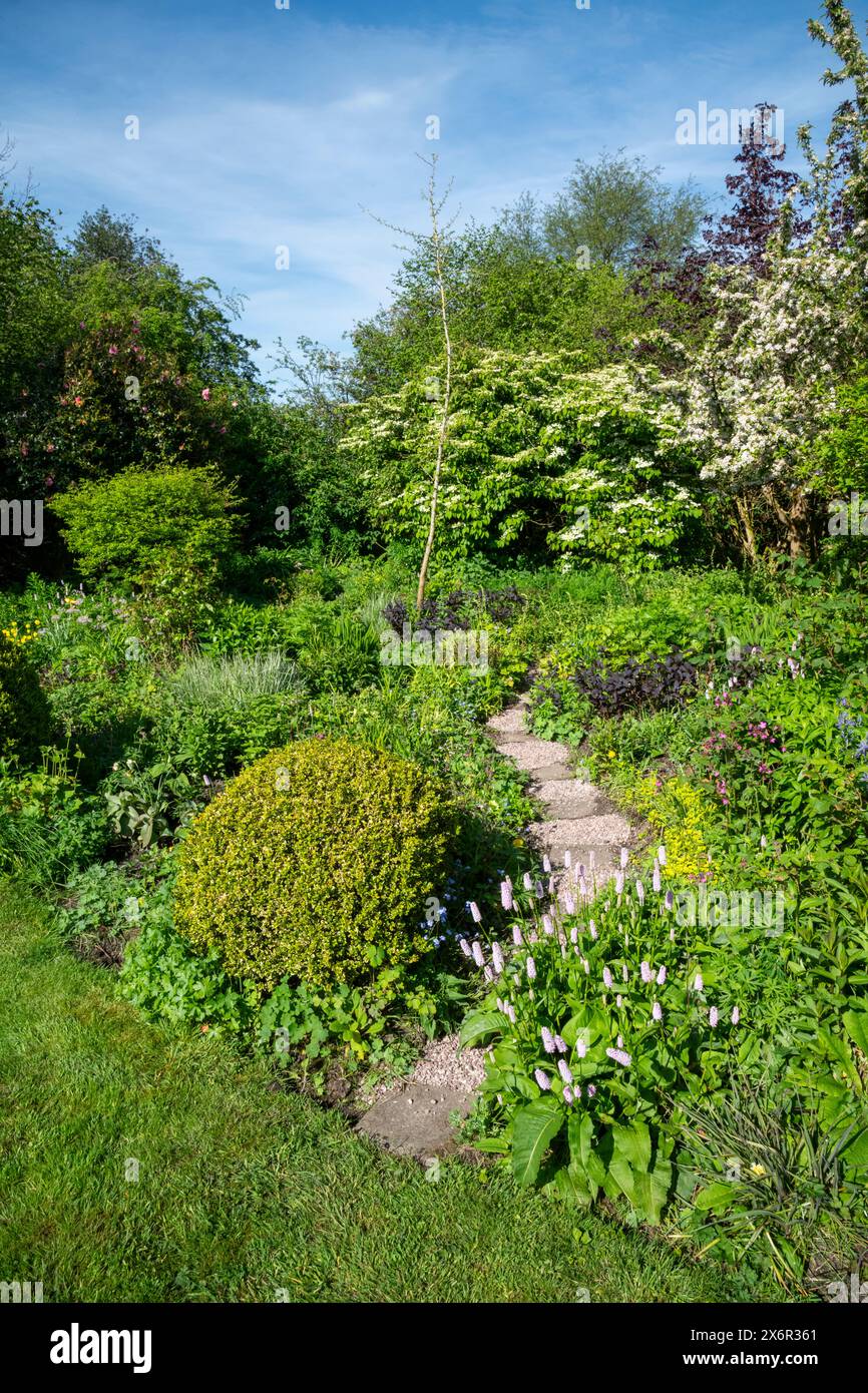 Beautiful English country garden in late spring. Mixed planting of ...