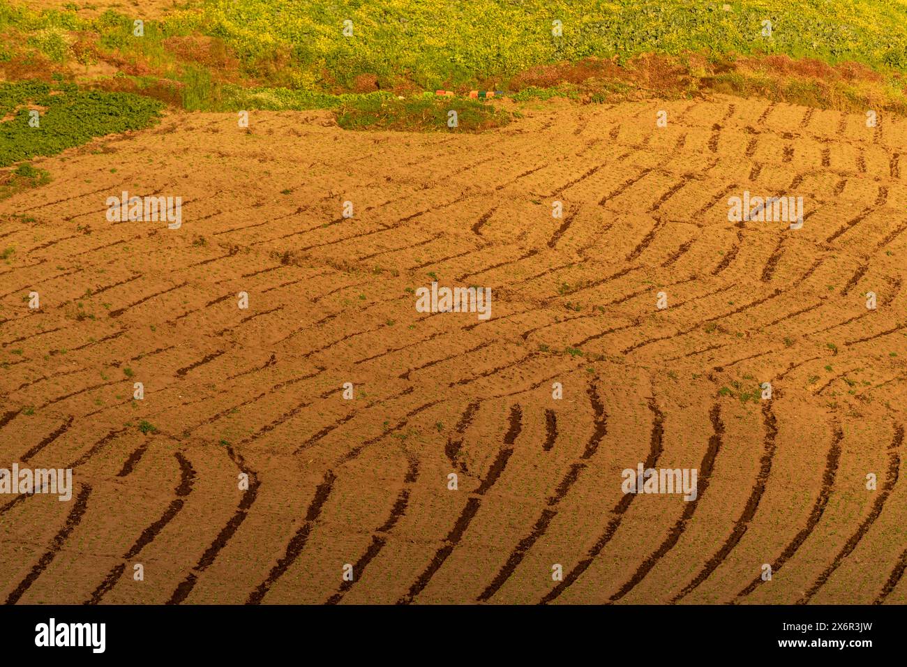 A field has been ploughed in preparation for crops being planted ...