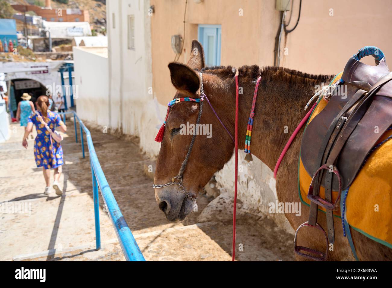 Thira, Santorini, Greece - 8 May 2024: Tourist attraction the donkeys ...