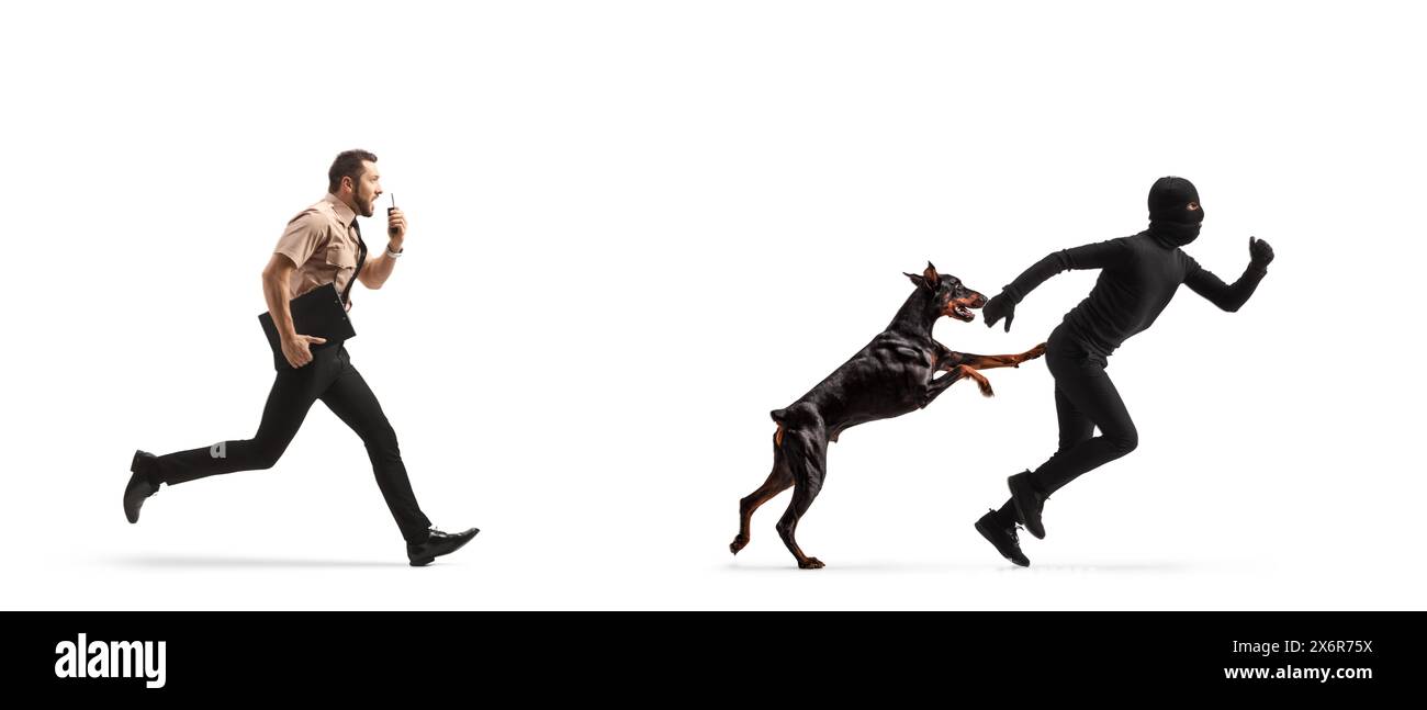 Dog chase man hi-res stock photography and images - Alamy