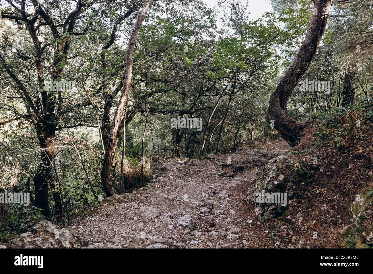The scenic Nietzsche Trail in Eze sur Mer on the French Riviera Stock ...