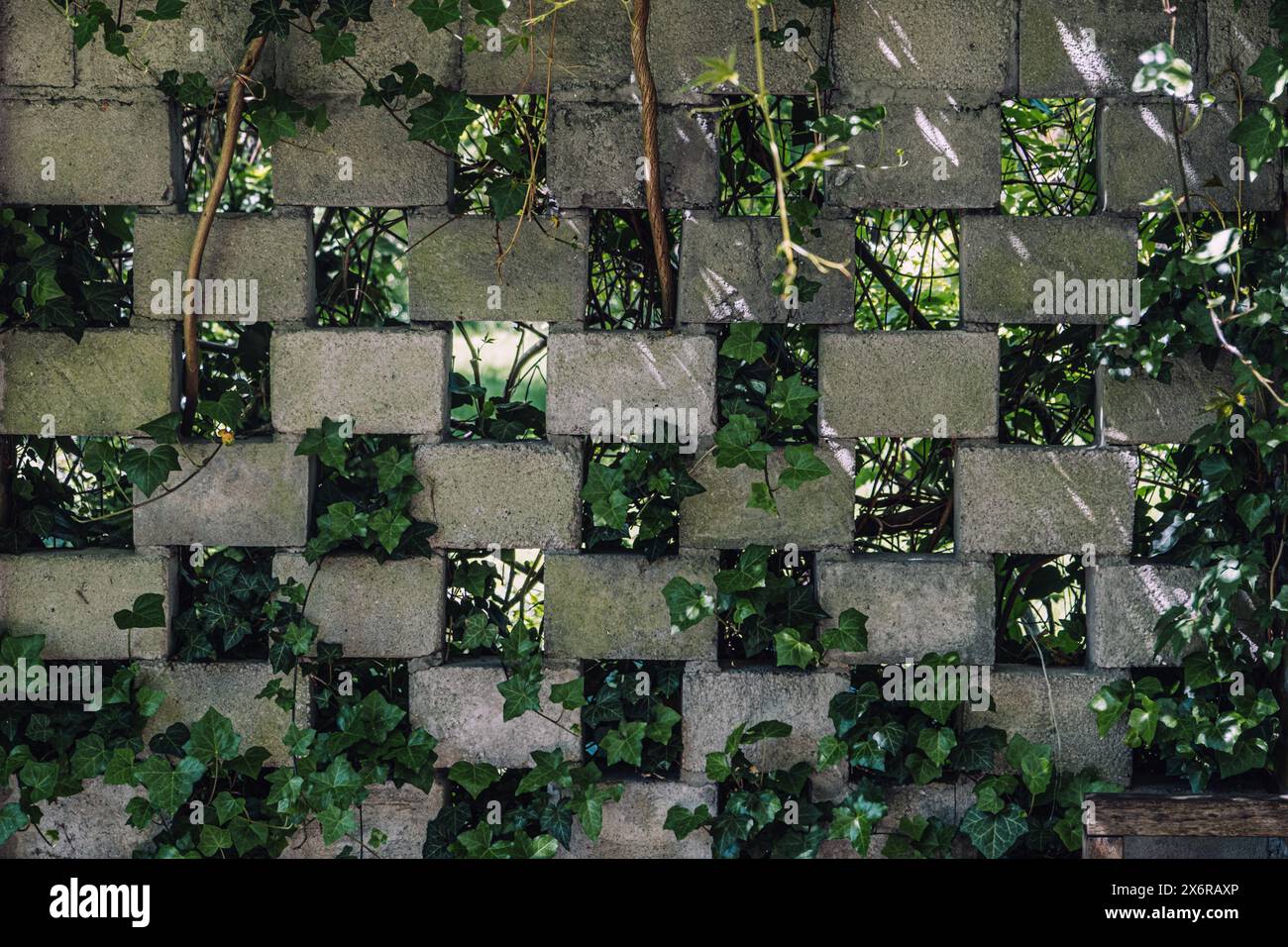 Breeze block design hi-res stock photography and images - Alamy