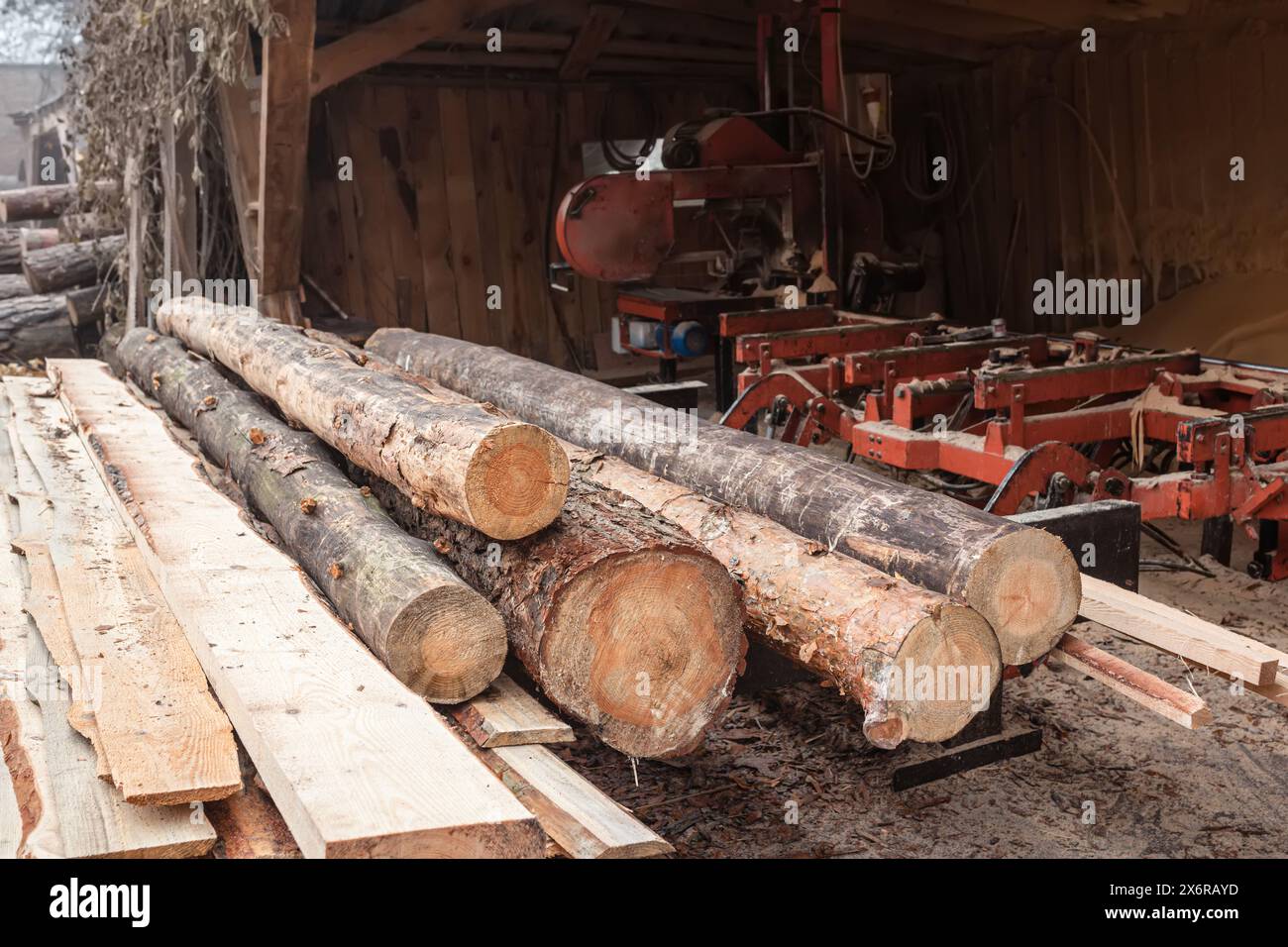 A pile of pine tree trunks and boards at a sawmill. Processing and ...