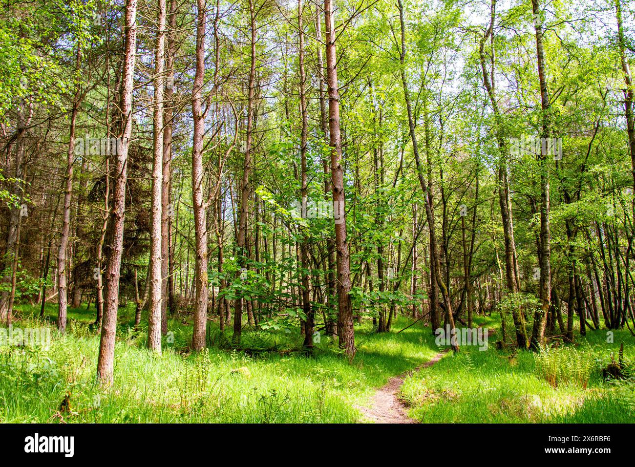 Hazy sunshine hi-res stock photography and images - Alamy