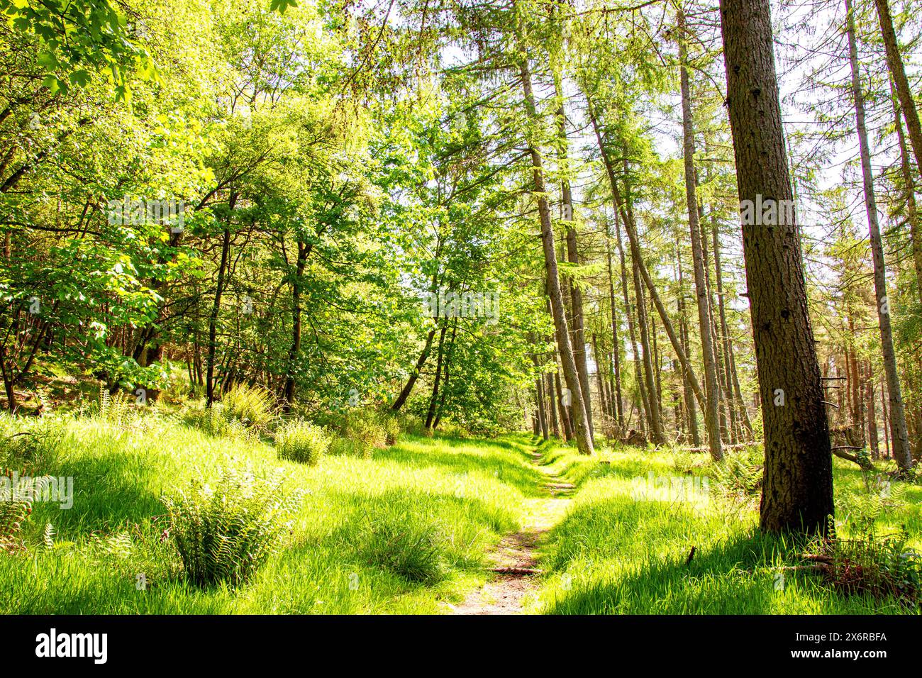 Hazy sunshine hi-res stock photography and images - Alamy