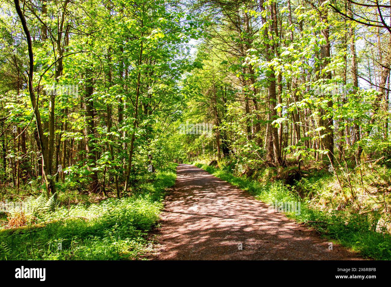 Hazy sunshine hi-res stock photography and images - Alamy