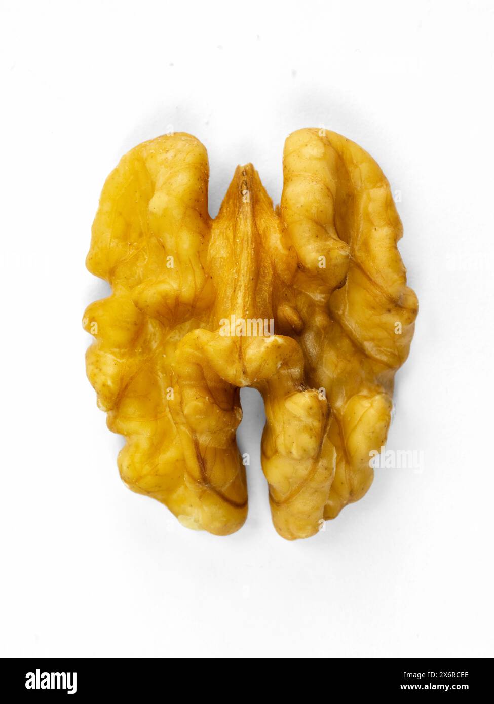 A close-up of a golden brown walnut kernel, split in half, resembling a ...