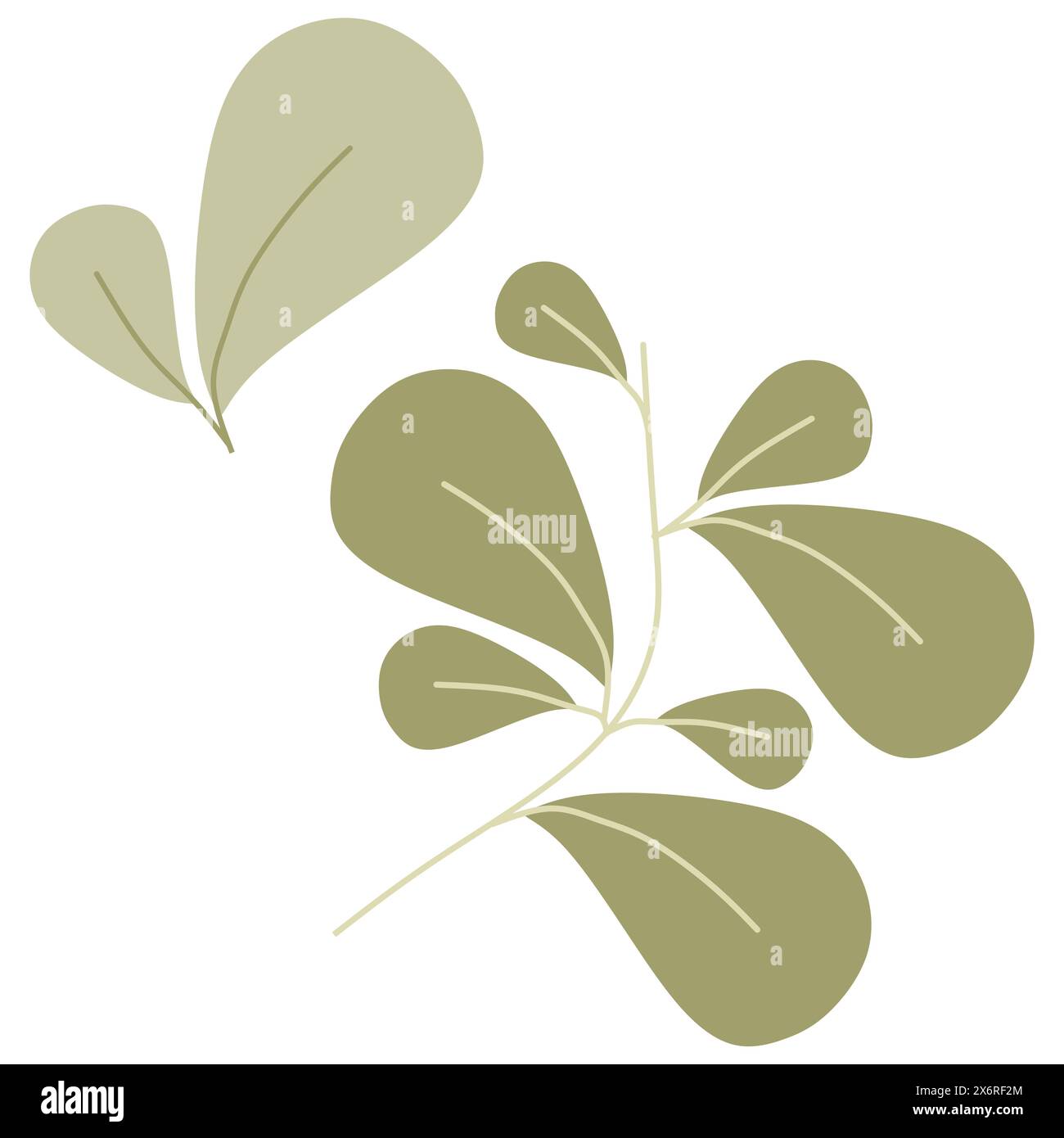 Eco green color Leaf vector logo flat icon set. Isolated Leaves shapes ...