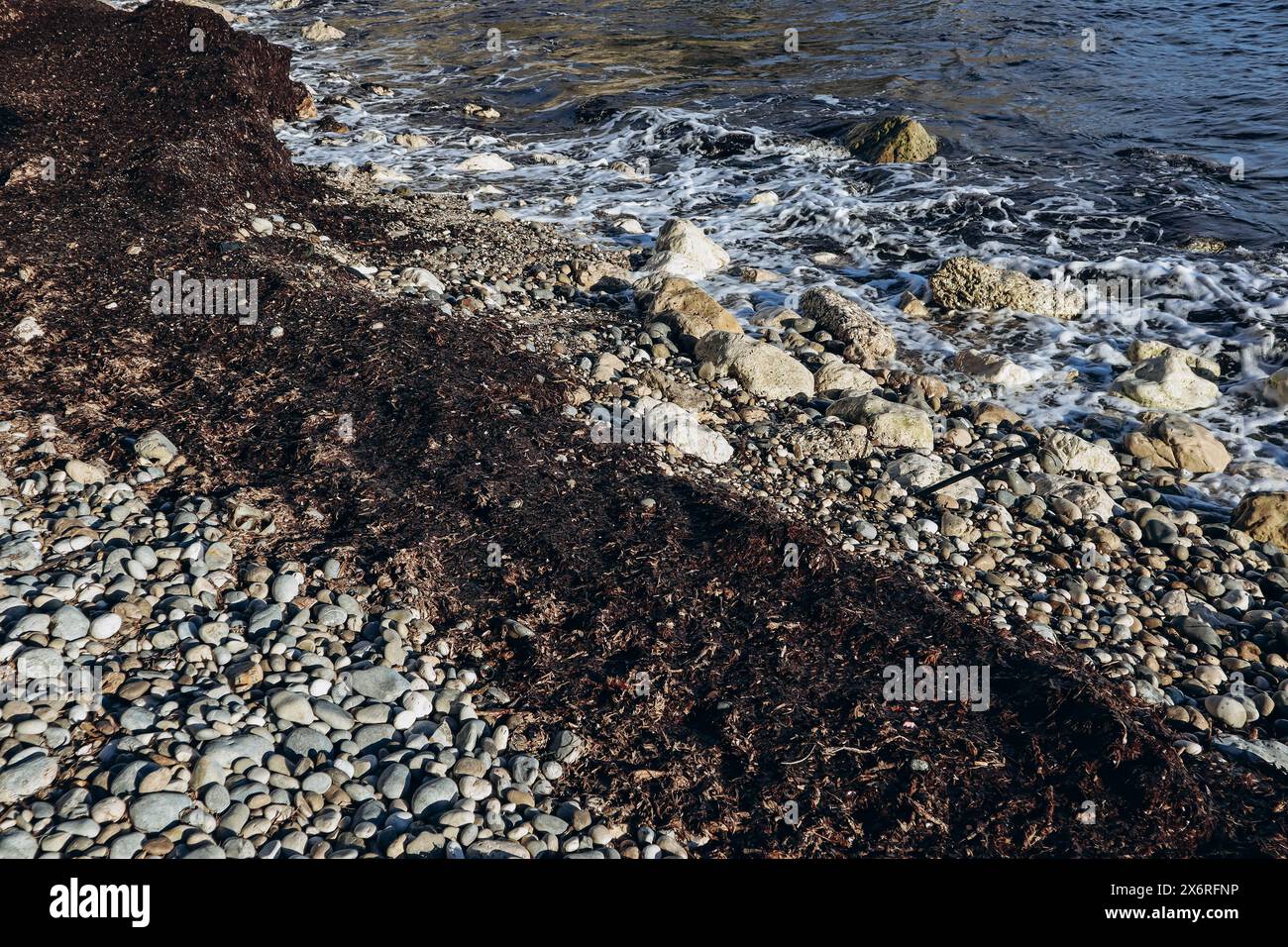 Washed up seaweed on the pebble beach of Eze sur Mer Stock Photo - Alamy