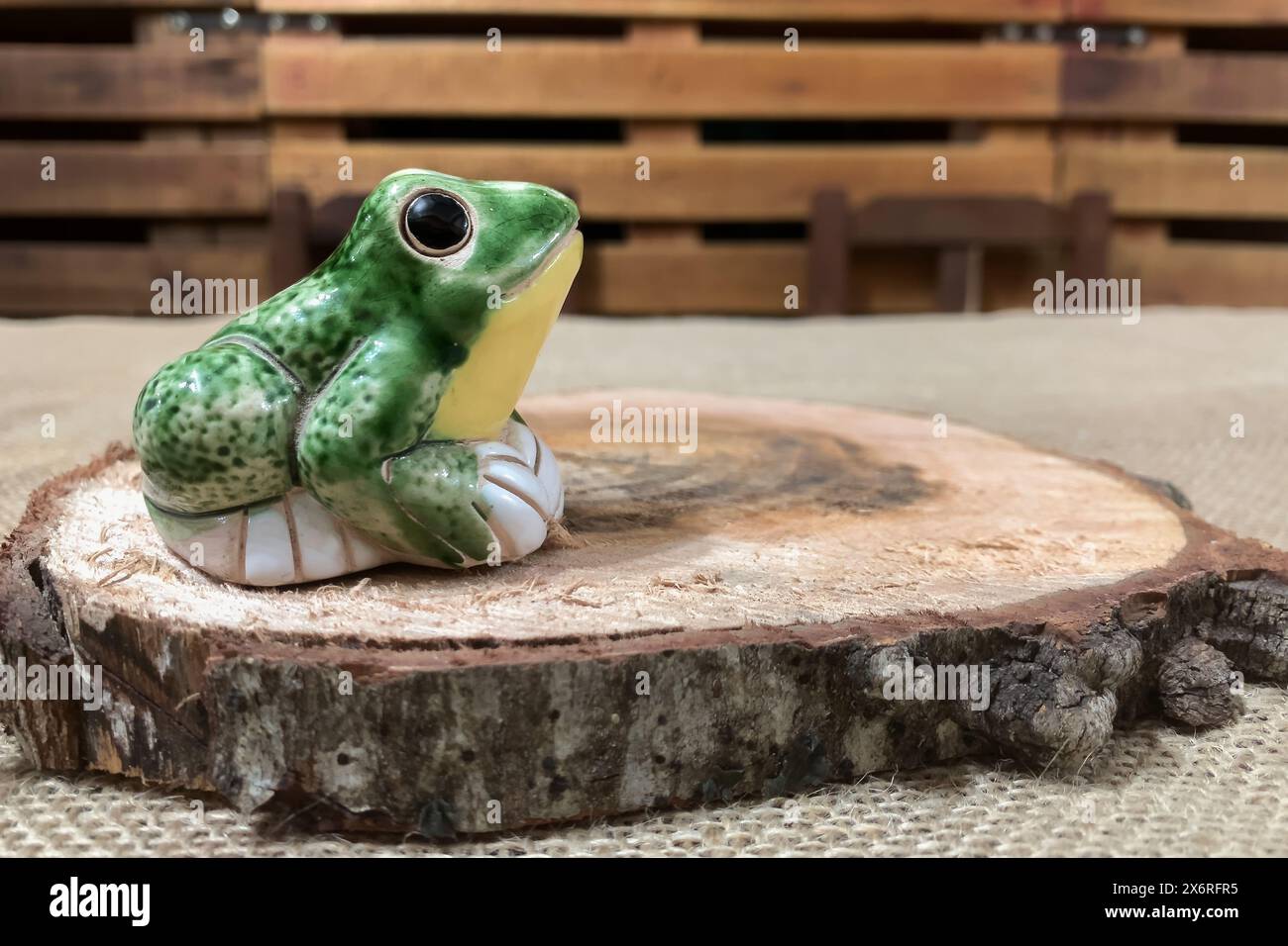 Frog river cute hi-res stock photography and images - Alamy