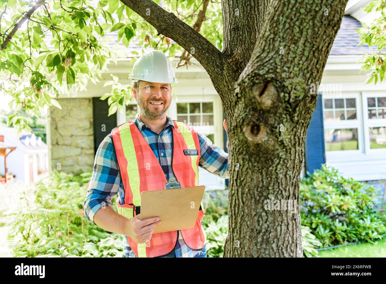 Forester inspection trees hi-res stock photography and images - Alamy
