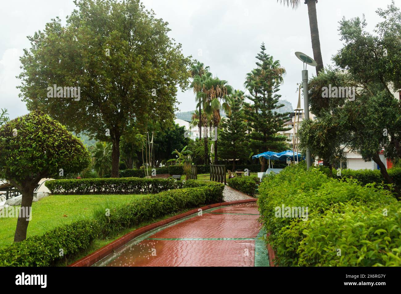 Persistent rain hi-res stock photography and images - Alamy