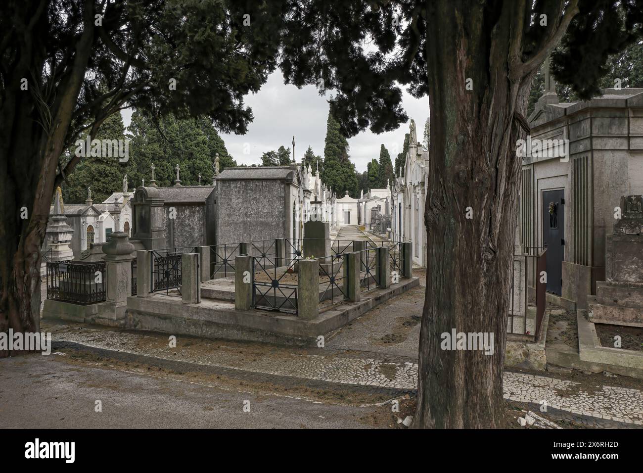 Old mysterious and peaceful european cemetery Stock Photo - Alamy