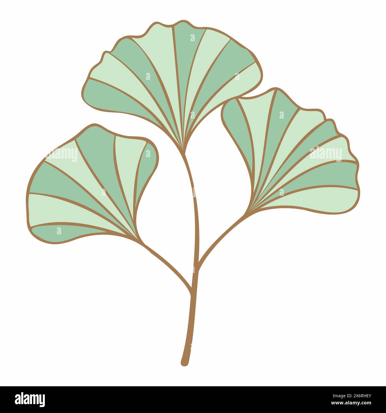 Ginkgo biloba branch with leaves mint green and gold color. Minimalist ...