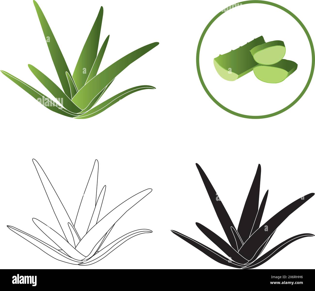 Aloe vera icon icon vector illustration symbol design Stock Vector ...