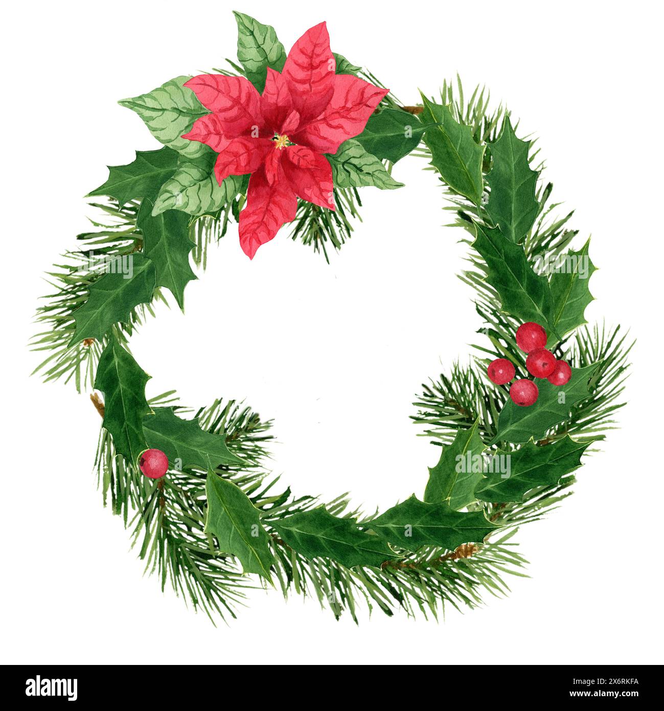Holly leaves, pine, berry and poinsettia Christmas wreath, watercolor ...