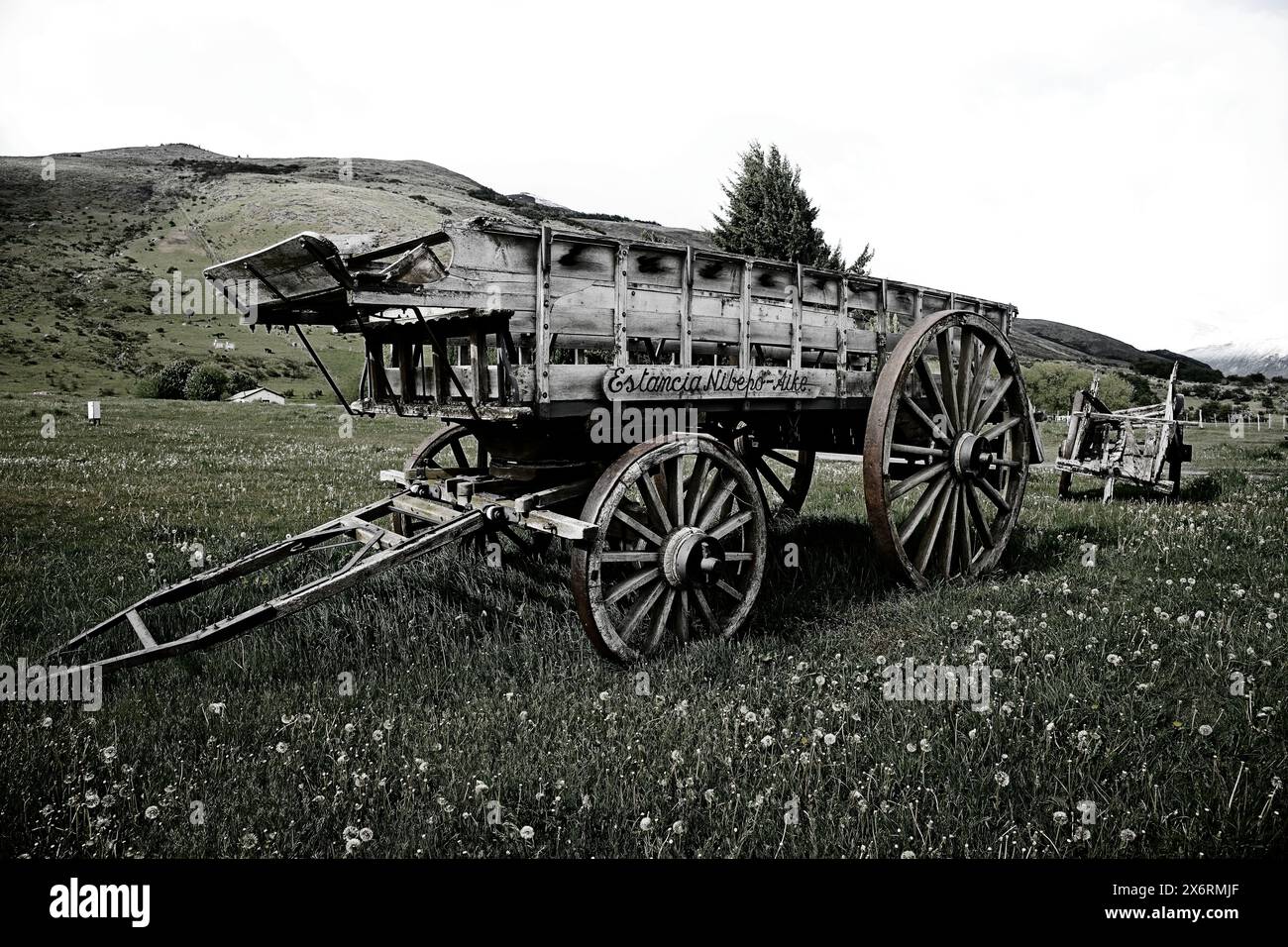 Traditional wooden carts as used on the Estancia Nibepo Aike in the Los ...