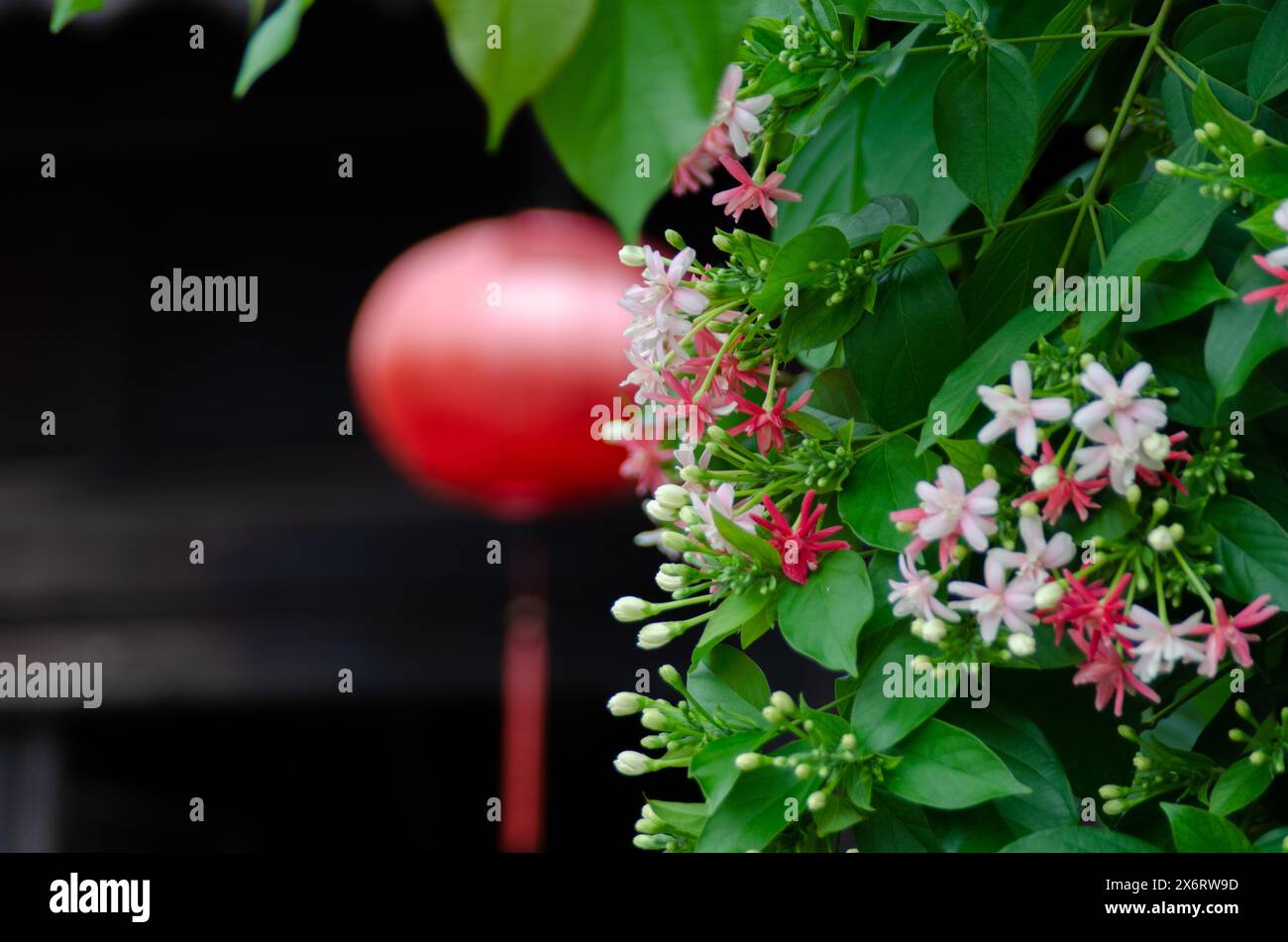 Red Paper Lantern Hanging In An Old Traditional Asian Town Stock Photo ...
