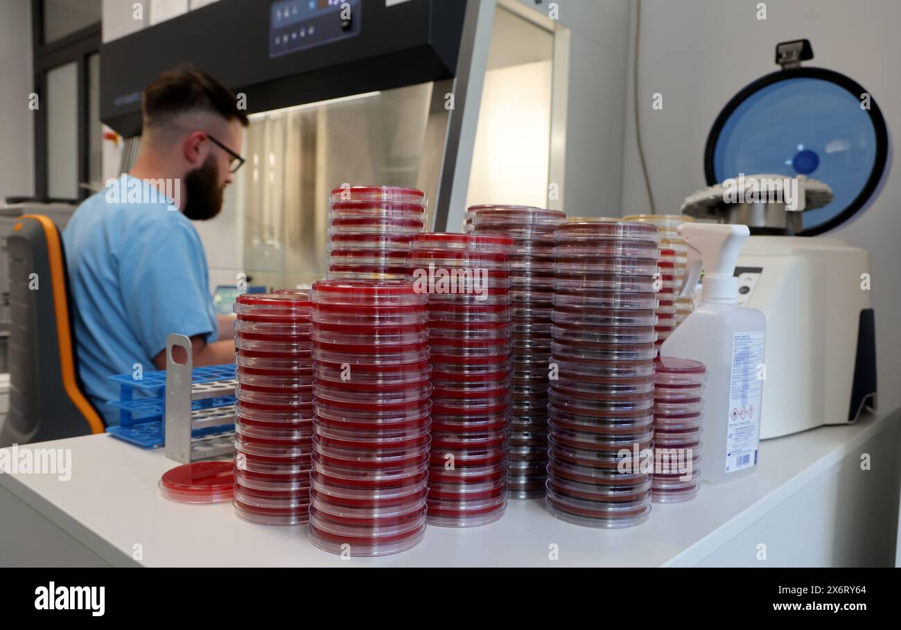 16 May 2024, Mecklenburg-Western Pomerania, Rostock: In the ...