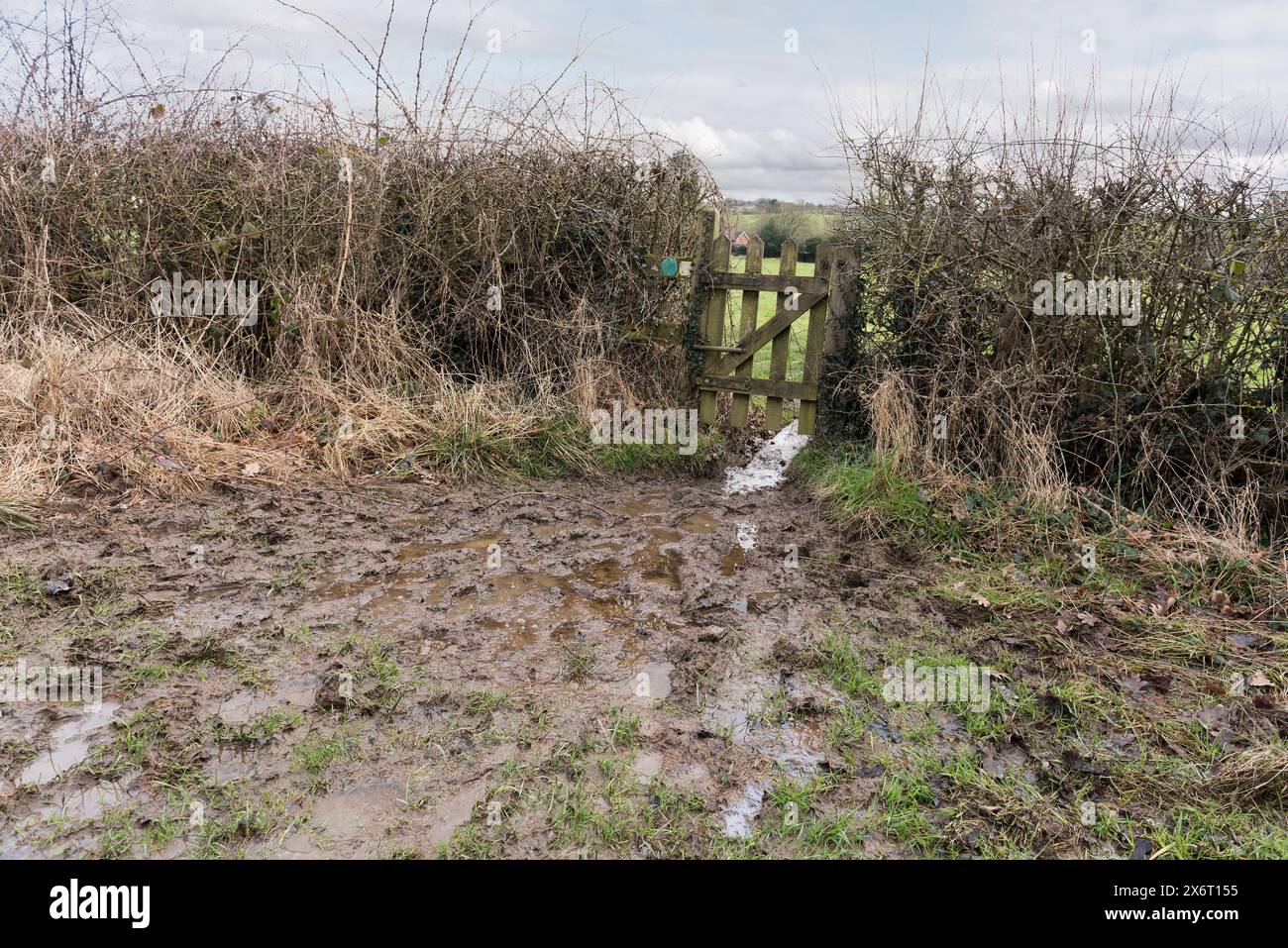 Waterlogged soil after continual heavy rain bars easy access across a ...