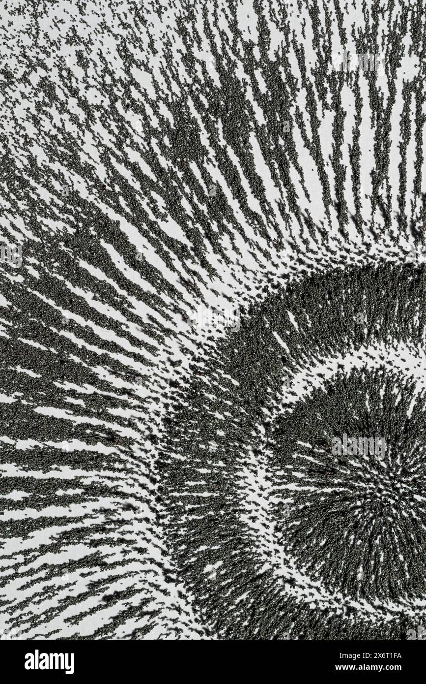 Magnetic fields around a loudspeaker used with electricity to generate ...