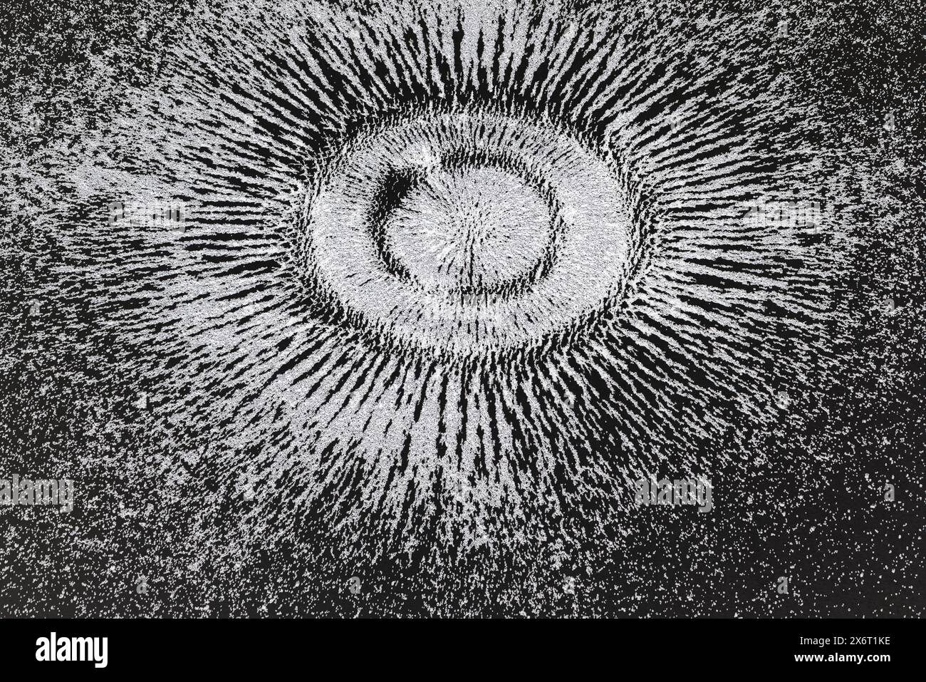 Magnetic fields around a loudspeaker used with electricity to generate ...