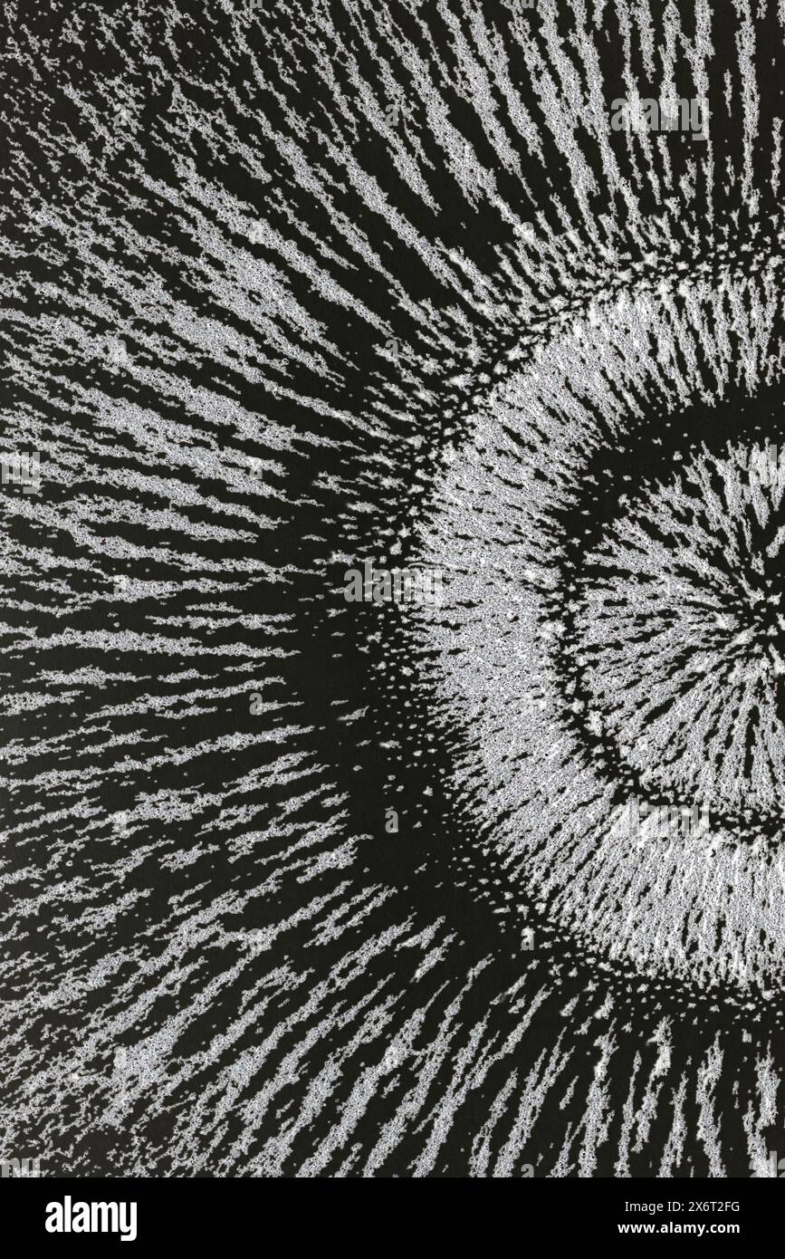 Magnetic fields around a loudspeaker used with electricity to generate ...