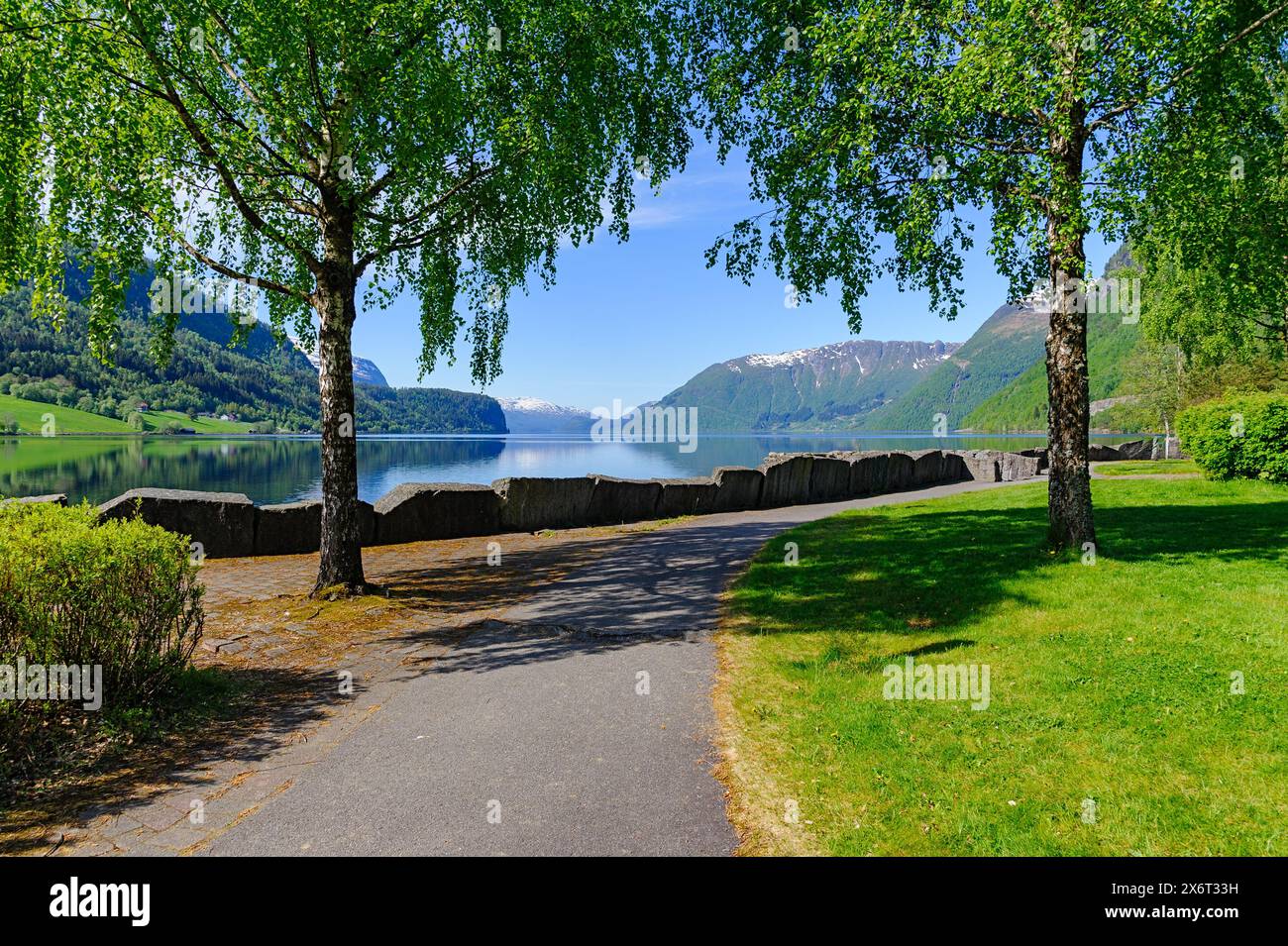 Two trees frame a peaceful lakeside path, with vibrant greenery ...