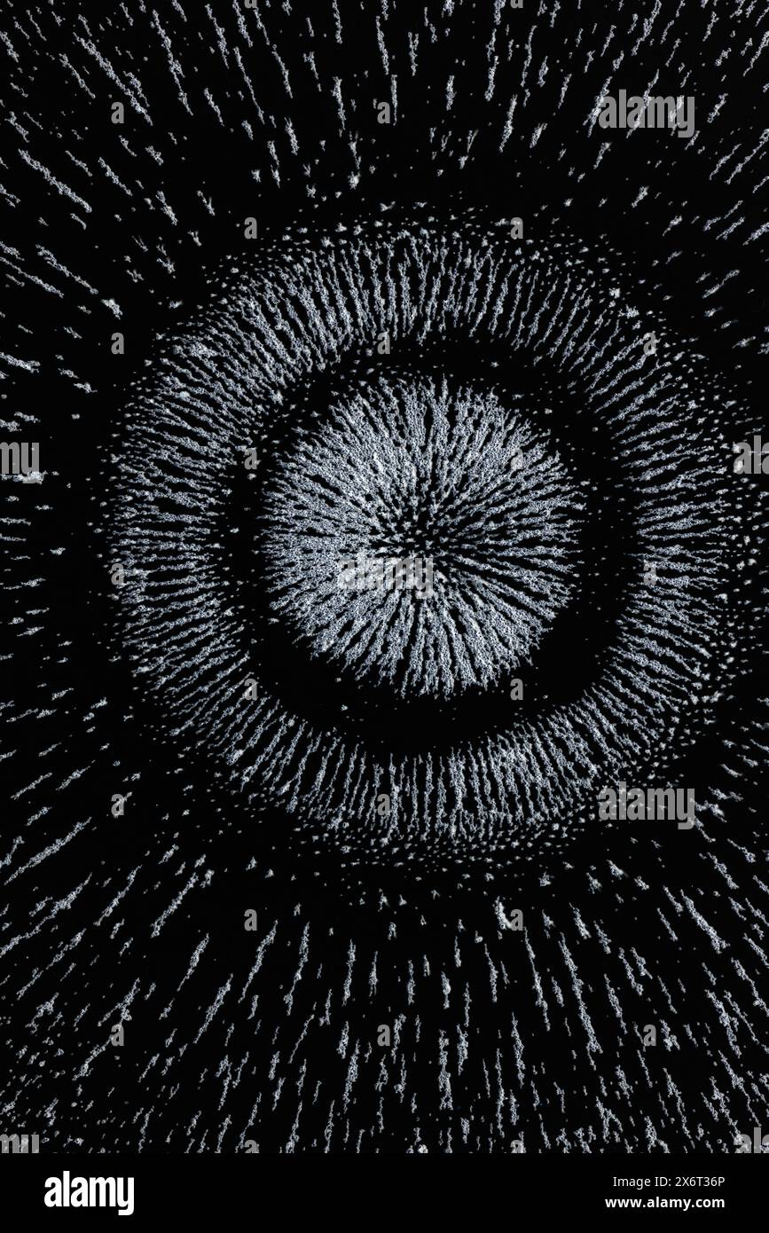 Magnetic fields around a loudspeaker used with electricity to generate ...