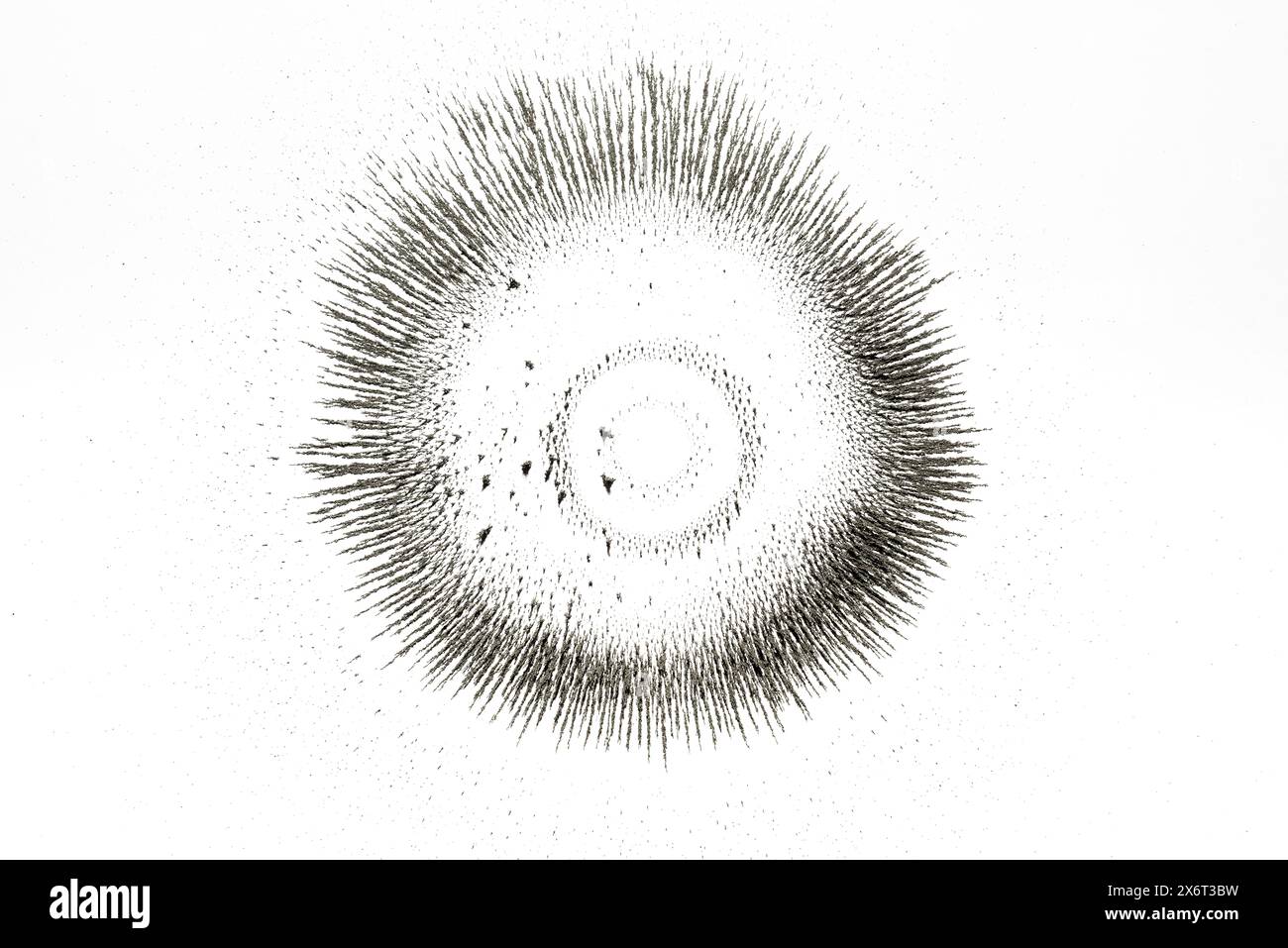 Magnetic fields around a loudspeaker used with electricity to generate ...