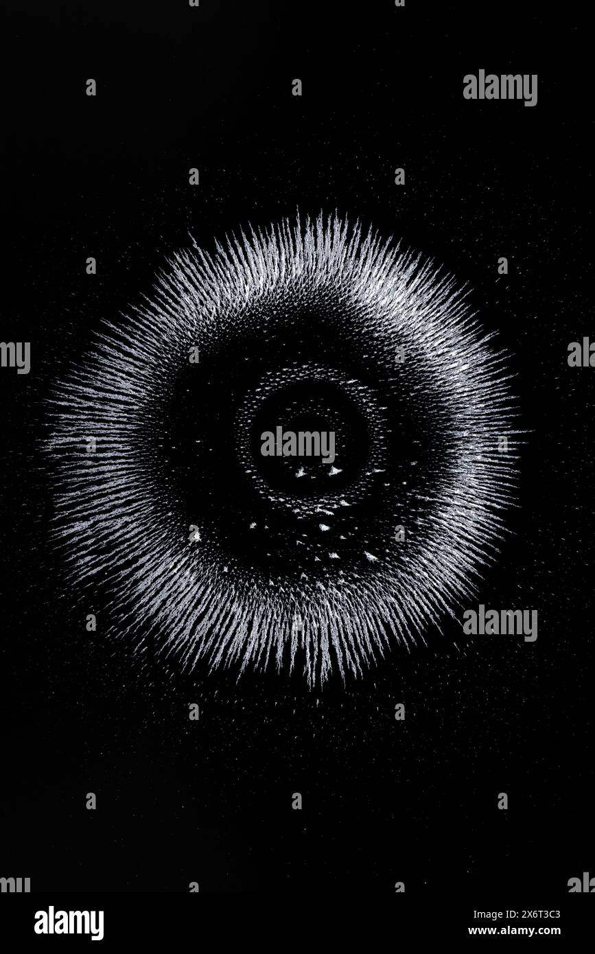 Magnetic fields around a loudspeaker used with electricity to generate ...