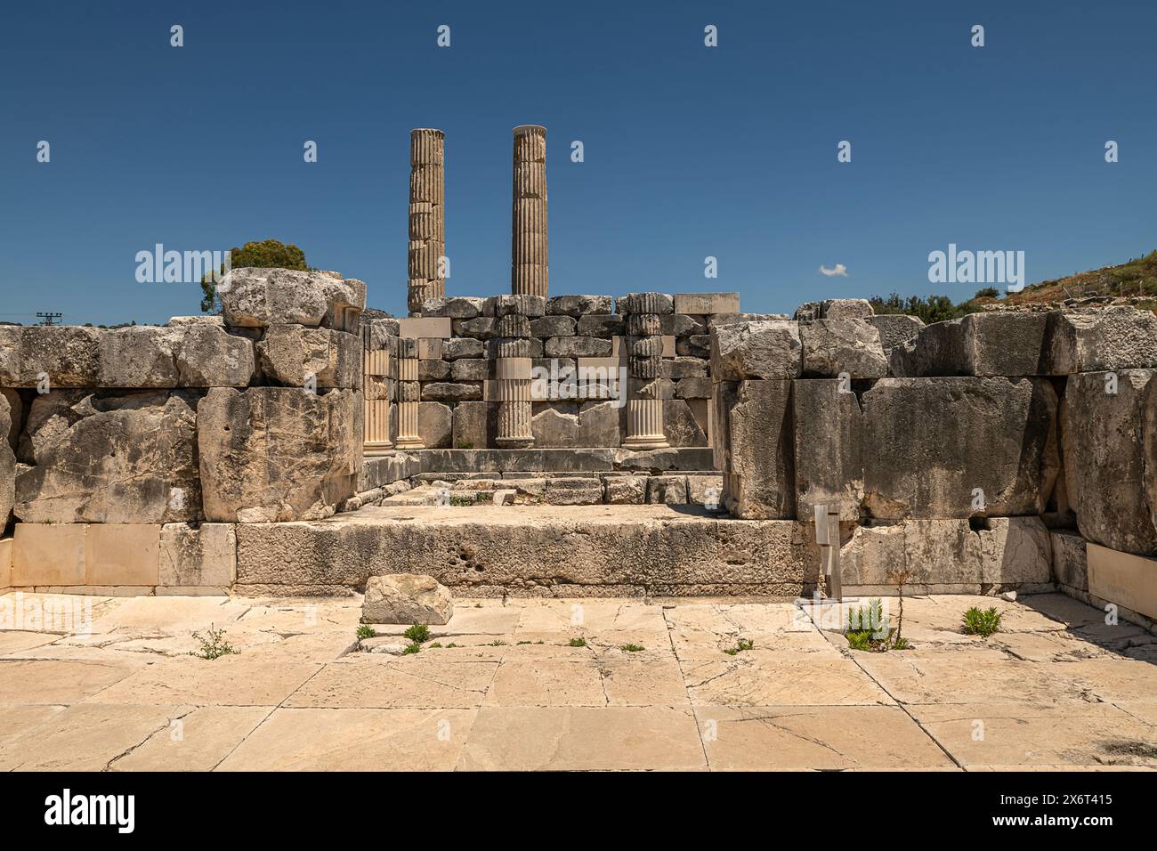 Pregnant by Zeus, Goddess Leto gives birth to her twin children Artemis ...