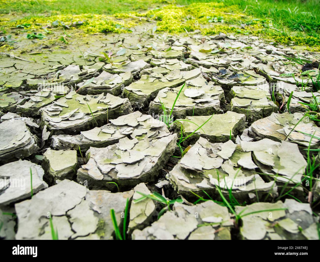 Wide angle close-up view of a dried and broken layer of mud in front of ...