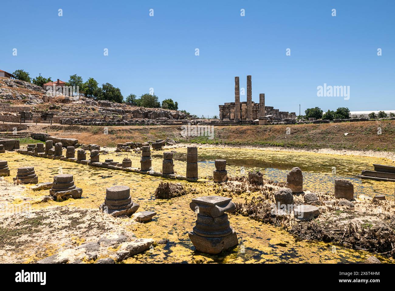 Pregnant by Zeus, Goddess Leto gives birth to her twin children Artemis ... Pregnant by Zeus, Goddess Leto gives birth to her twin children Artemis ...