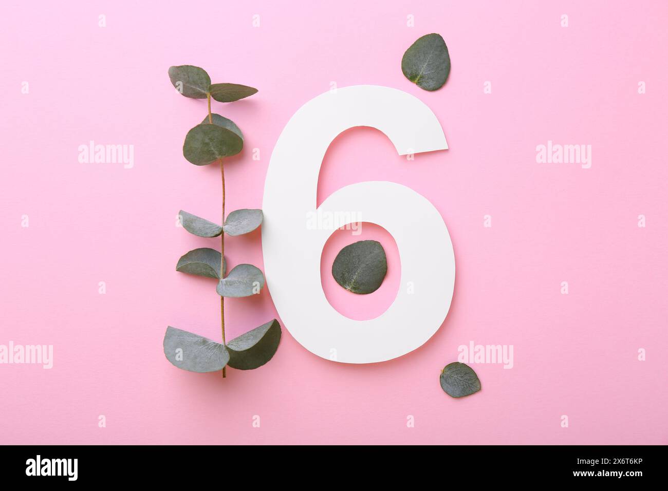 Paper number 6 and eucalyptus leaves on pink background, flat lay Stock ...