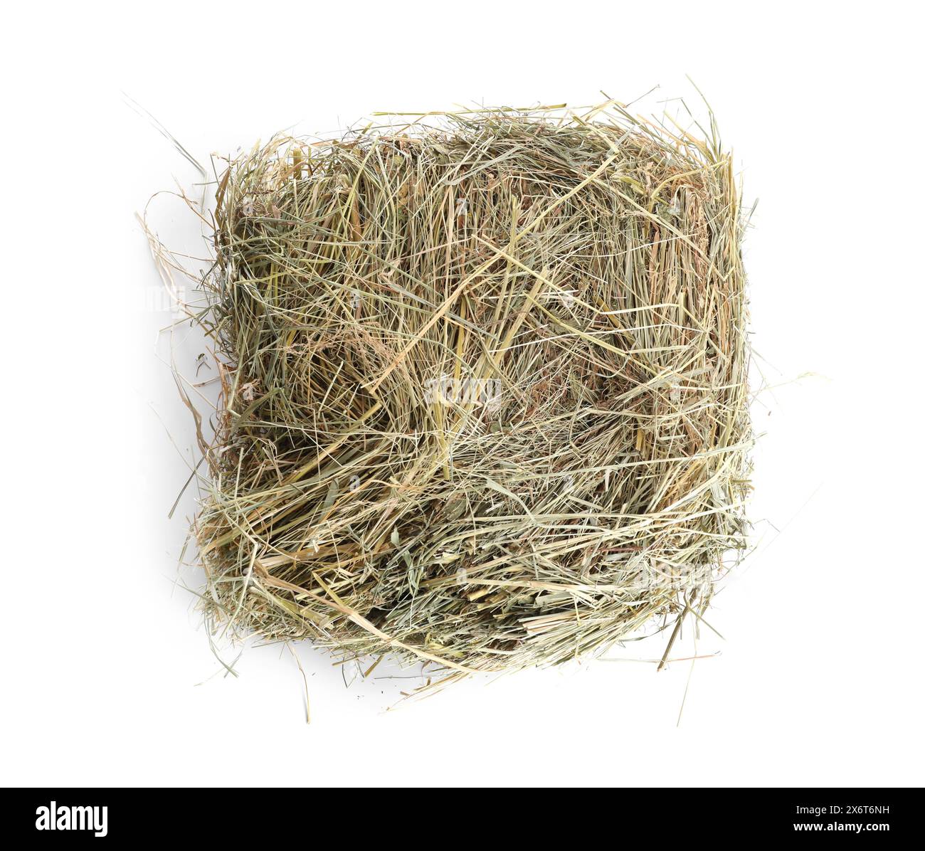 Grass texture top view Cut Out Stock Images & Pictures - Alamy